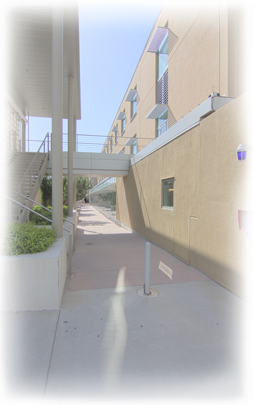 Undergraduate Research Conference: Abstracts